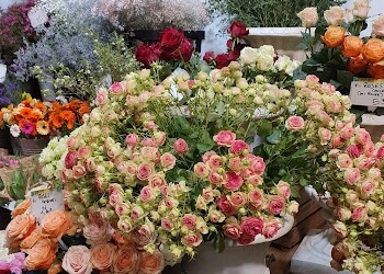 3 Meilleurs Fleuristes à Strasbourg - Recommandations d'Experts