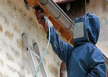3 Best Pest Control in Paris, France - Expert Recommendations